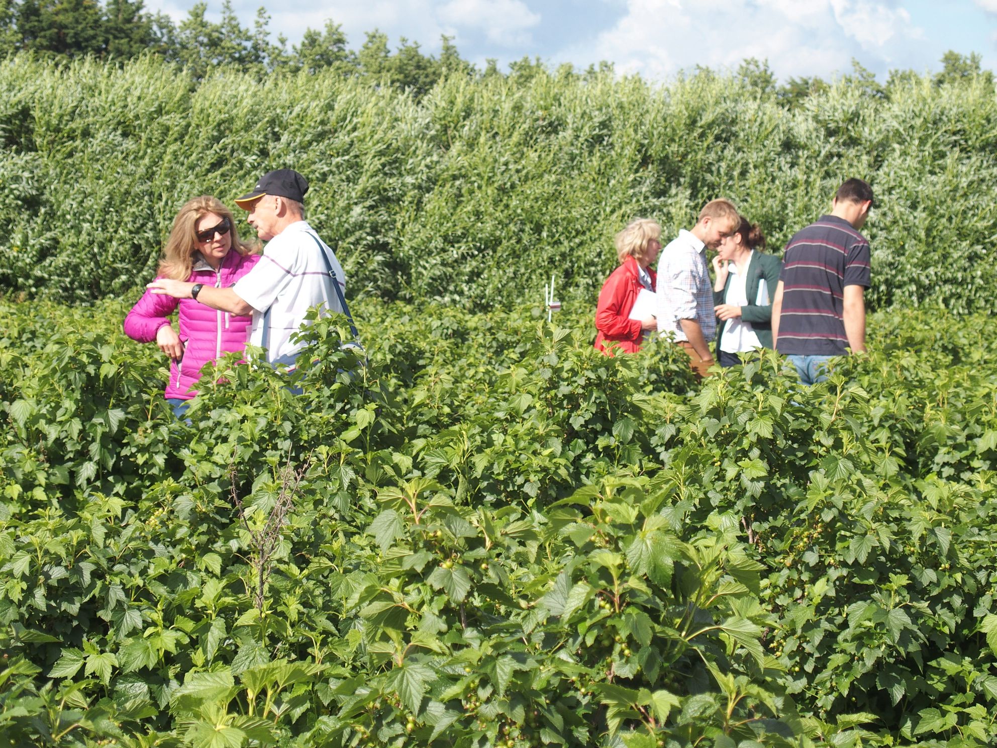 Visit of John Hinchcliff's farm - Official Website International ...