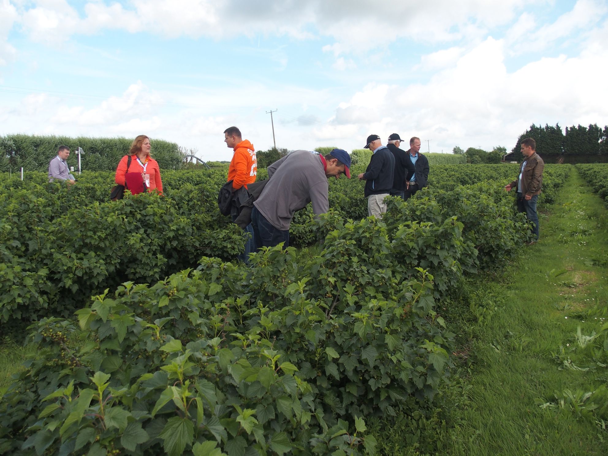 Visit of John Hinchcliff's farm - Official Website International ...